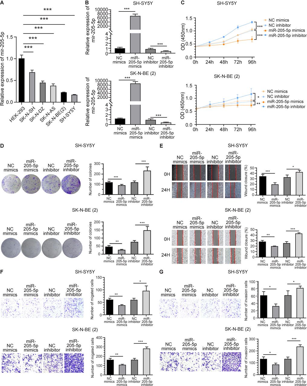 Exosome encapsulation of miR-205-5p suppresses neuroblastoma ...