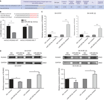 Exosome encapsulation of miR-205-5p suppresses neuroblastoma ...